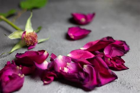 Pétalos rosas fuente bioactivos Bioquímica ACTUAL FruVeg