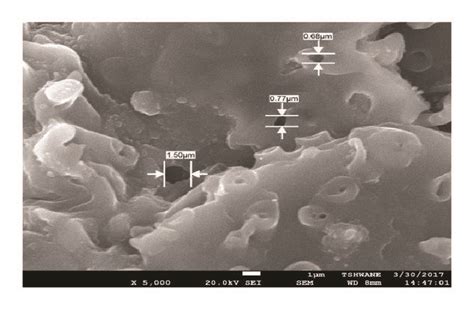 A Overview Of B3 From Sem Analysis B Pore Size Distribution Of B3