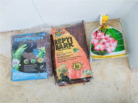 Reptile Bark Tree Fern Fibre Furniture And Home Living Gardening