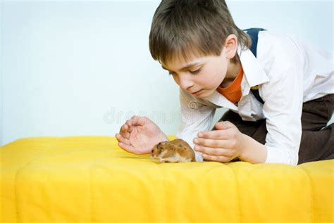 Boy And Hamster Stock Image Image Of Hamster Furry Person 9061267
