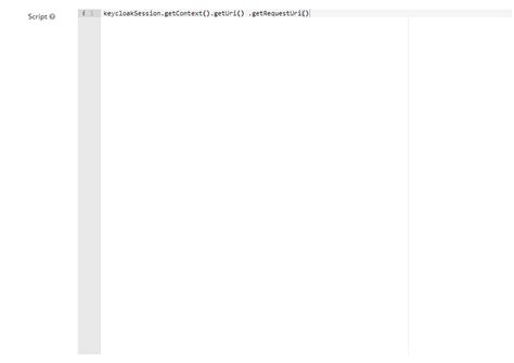 Custom Auth Parameter Configuring The Server Keycloak