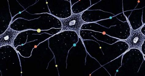 18 Most Common Nervous System Diseases Symptoms Causes And Treatments