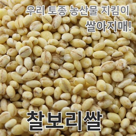 찰보리쌀 500g1kg 쌀아지매 2021년국내산 햇찰보리