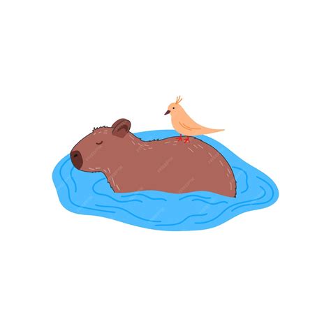 평평한 디자인의 새 재미있는 캐릭터를 가진 카피바라 물에서 헤엄치는 귀여운 카피바라 ⁇ 터 ⁇ 화 프리미엄 벡터