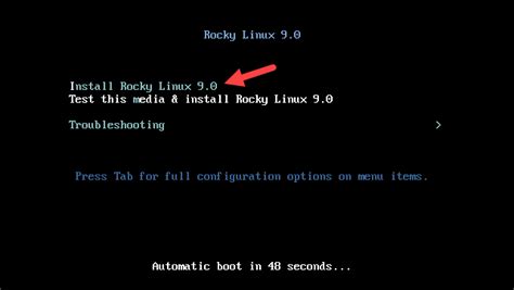 How To Install Rocky Linux Step By Step Guide PhoenixNAP KB