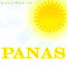 Bb Dp