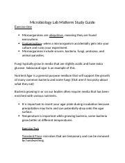 Microbiology Lab Midterm Study Guide Docx Microbiology Lab Midterm Study Guide Exercise One