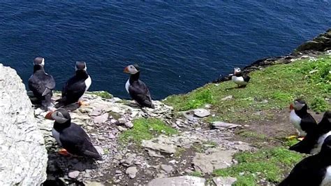 A Journey To Skellig Michael During Puffin Season Youtube