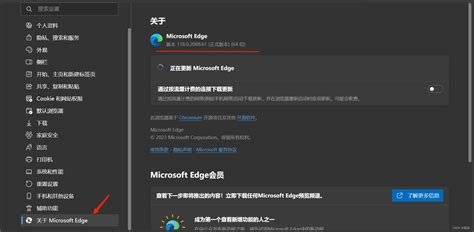 Python 使用seleniumpywinauto模块处理弹窗中的图片文件上传pywinautoselelinum Csdn博客