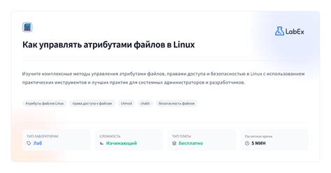 Как управлять атрибутами файлов в linux labex