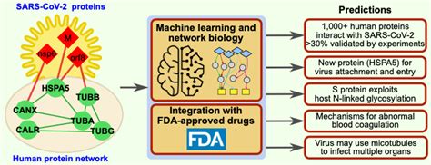 Research Areas In The Rajagopalan Group