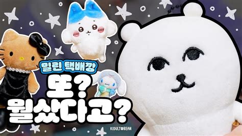 해볼까 택배깡📦 산리오치이카와농담곰 직구하울 택배언박싱 Youtube