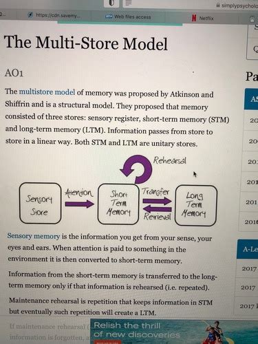 Multi Store Model Of Memory Flashcards Quizlet