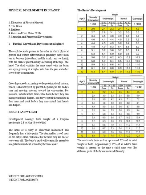 Physical Development In Infancy Pdf Perception Senses