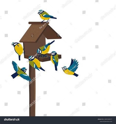 Vector Drawing Bird Feeder Blue Tits Stock Vector Royalty Free 2497249377 Shutterstock