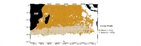 Weight Distribution Of Mature Albacore Tuna In The Indian Ocean Based Download Scientific