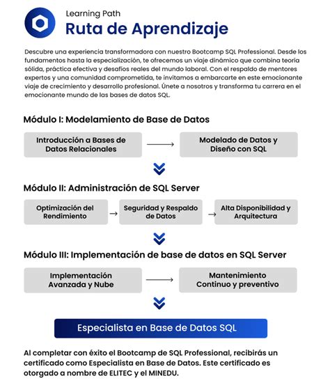 SQL Professional ELITEC