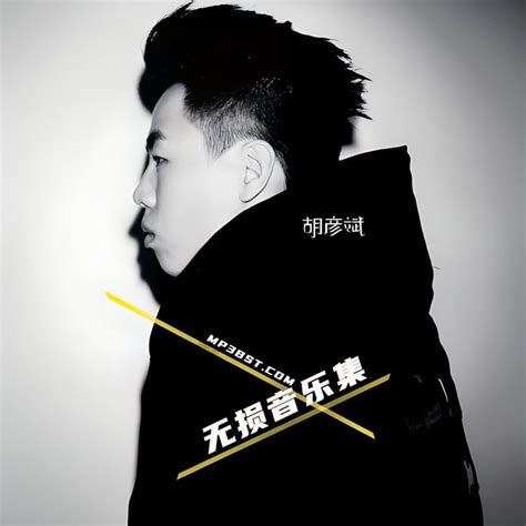 胡彦斌 无损音乐集 Mp3bst