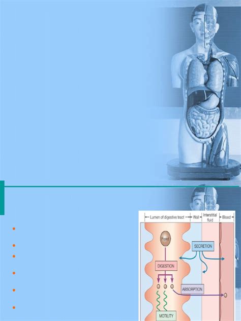 Git Anatomy Pdf