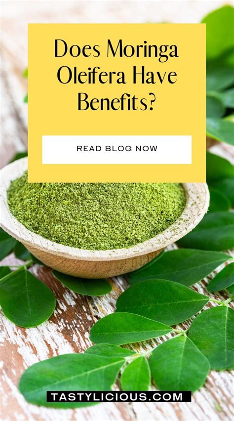 Moringa Benefits Artofit