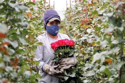 La Reactivación Económica Es La Prioridad Para El País Después De Las