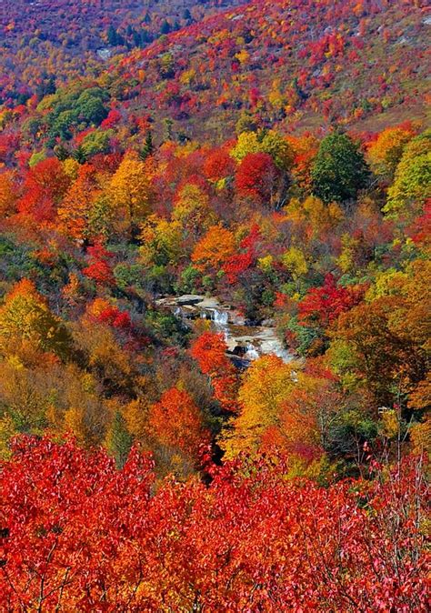 Blue Ridge Parkway Tunnel In Fall Blue Ridge Parkway Fall Wallpaper