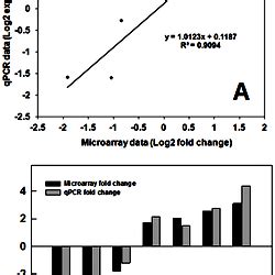 QPCR Validation Of The Microarray Data