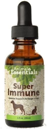 15 Easy & Effective Immune System Boosters for Dogs - Happy Natural Dog