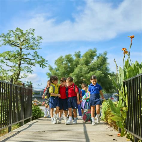 Descubre por qué el British International School es el mejor colegio de