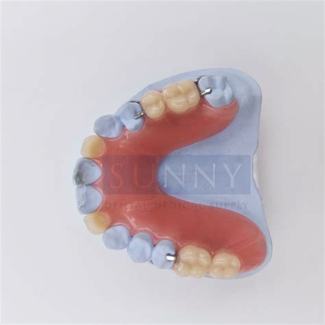 Acrylic Denture Sunny Dental Medical Supply