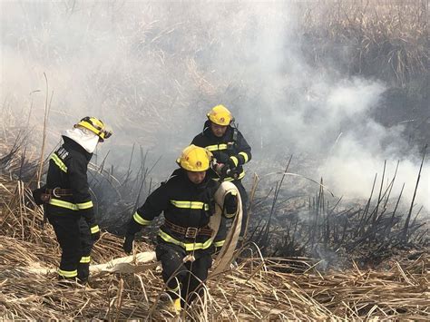 草地起火蔓延 荆门消防出手灭火 湖北日报新闻客户端