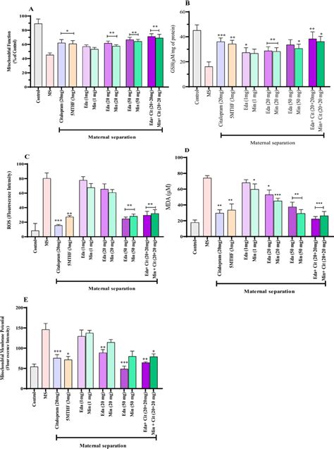 Effects Of Maternal Separation And Treatment With Citalopram 5mthf