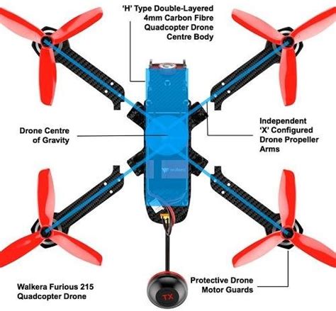 Center Of Gravity Cog Download Scientific Diagram