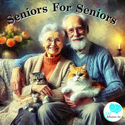 Adopting Senior Cats Pros And Cons Cat Wisdom 101