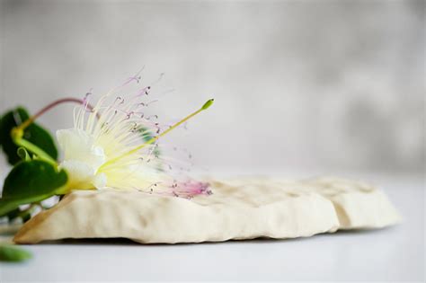 천연 회색 색상의 화장품배경 회색 배경에 돌 연단과 꽃 전면 보기 0명에 대한 스톡 사진 및 기타 이미지 0명 개념 건설