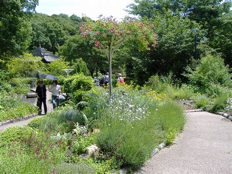 北山都市緑化植物園兵庫県 温室探索