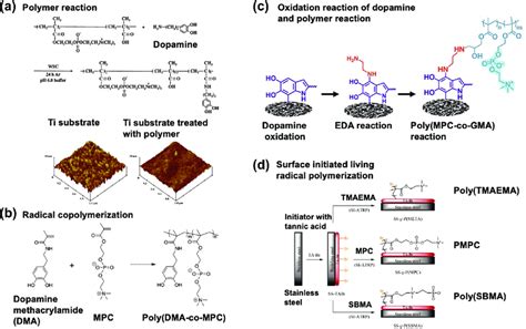 Biomimetic Surface Immobilization Procedure With Zwitterionic Polymers Download Scientific