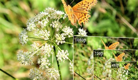 SD VS HD Video Resolutions Quality Formats Platforms Compared VdoCipher Blog