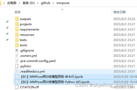 Mmpose预训练模型预测 命令行mmpose预训练模型预测视频 Csdn博客