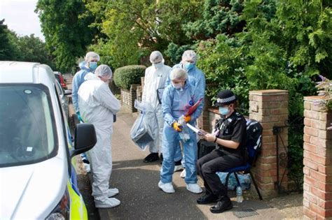 Homeless Man Taken In By Great Grandmother 83 Charged With Her Murder