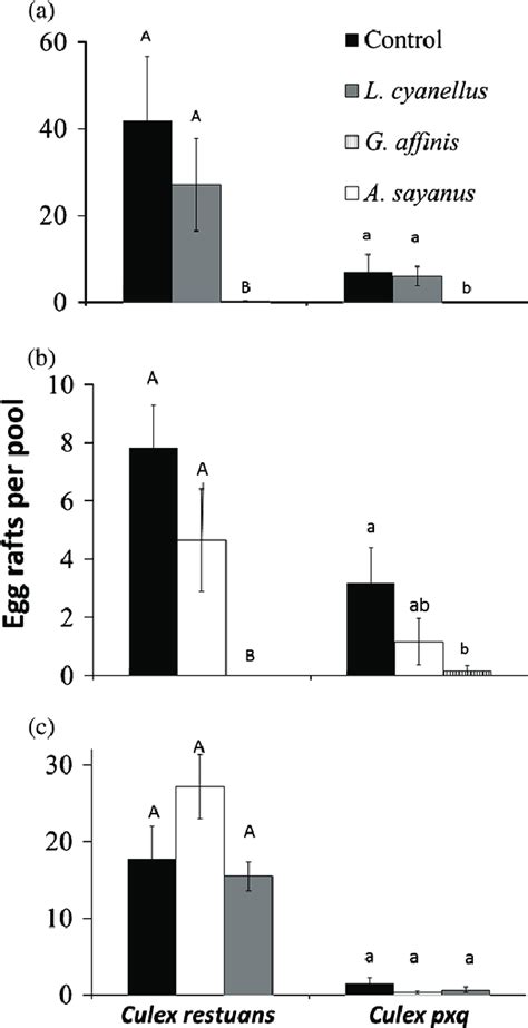 Oviposition Of Culex Restuans And Culex P × Q In The Three Field