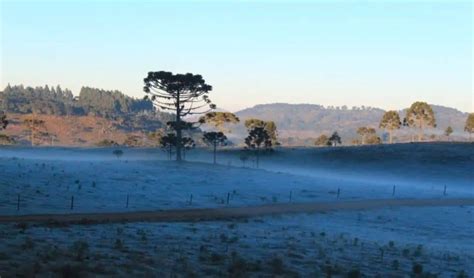 Geada neve e frio extremo temperaturas vão desabar no fim de semana no Brasil Olhar Digital