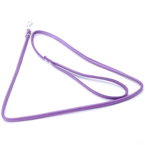 Kat Puppy Honden Leash Lange Gladde Pu Lederen Loo Grandado