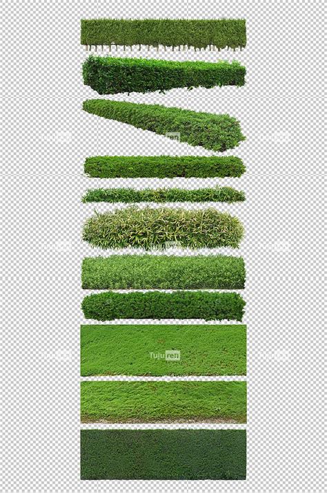 园林景观绿植植物素材免抠元素模板下载 图巨人