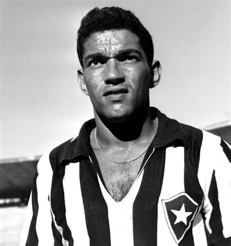 Os 10 maiores jogadores da história do Botafogo