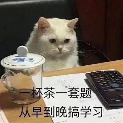 你知道码云是什么吗？我说的是gitee（码云）！