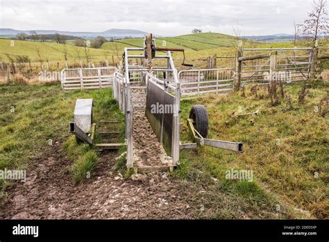 What Is Livestock Management System at Erica Laforge blog