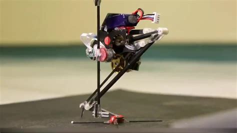 Video Ethen Laing On Linkedin Roboticsrevolution Techinnovation Aiinaction Biomimicry