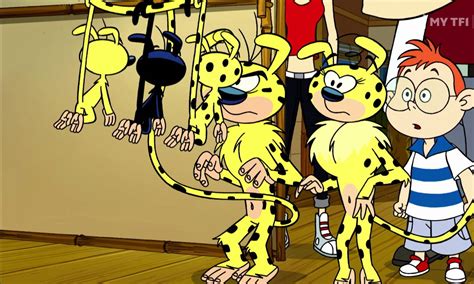 Nos voisins Les Marsupilamis S05 E11 Junglophobies en série TF1
