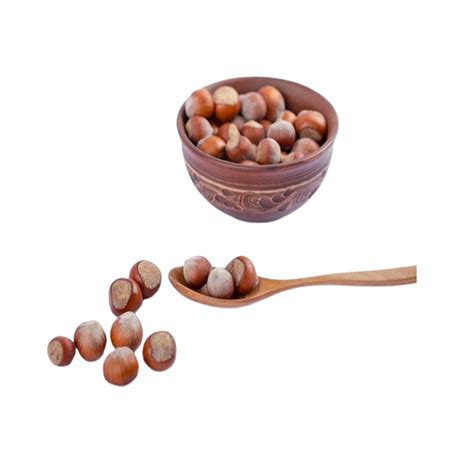 Hazel Nuts K Siddah Gowder And Co